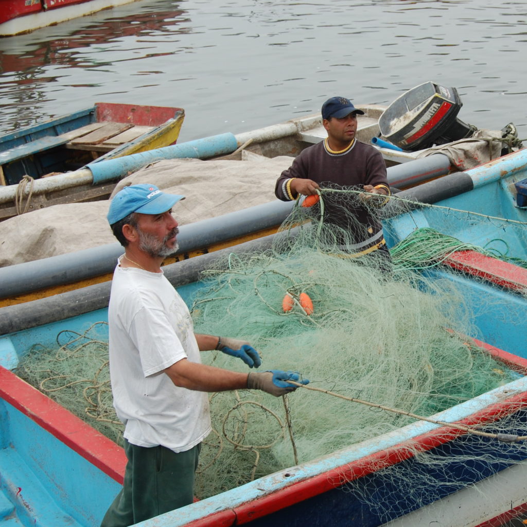 Resources – Life Platform