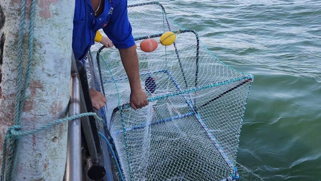 Preliminary results – Development and use of trap fishing gear adapted ...