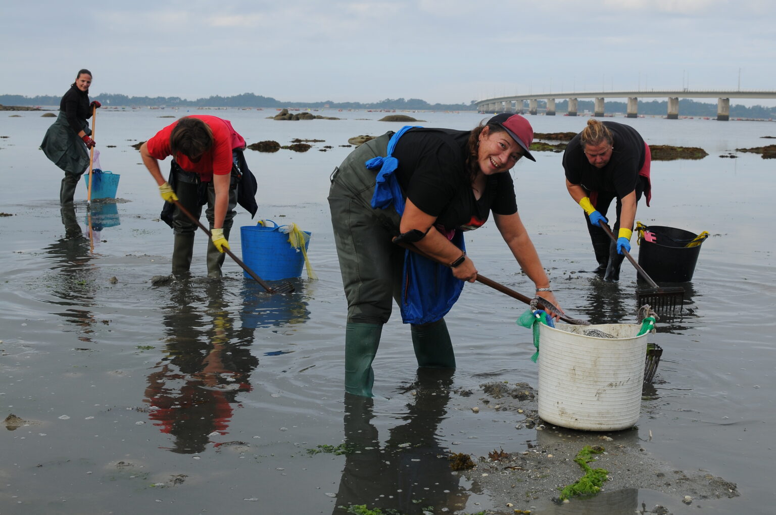 News & Articles – Life Platform